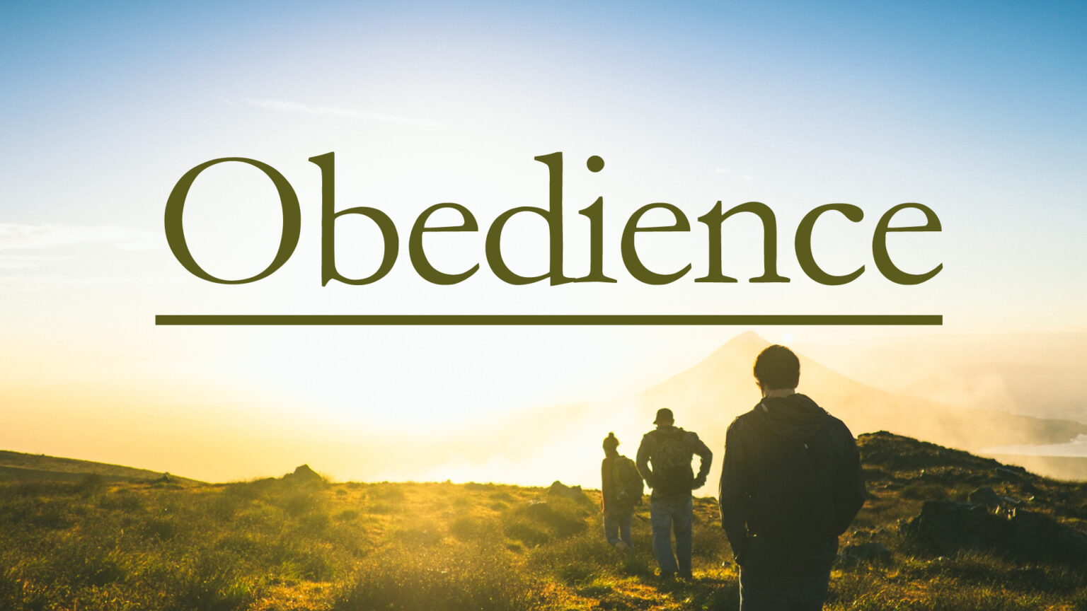Obedience... When it Doesn't Make Sense - Texas District